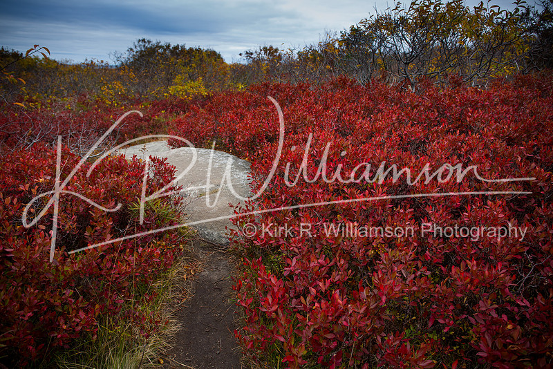Kirk R. Williamson Photography | Halibut Point State Park | Halibut Pt ...